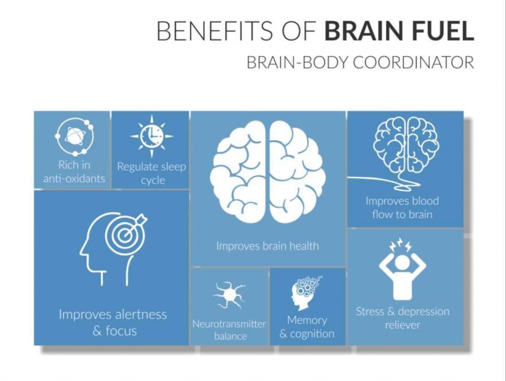 Ok Lifecare Brain Fuel & Brain Wellness - Gen Pros